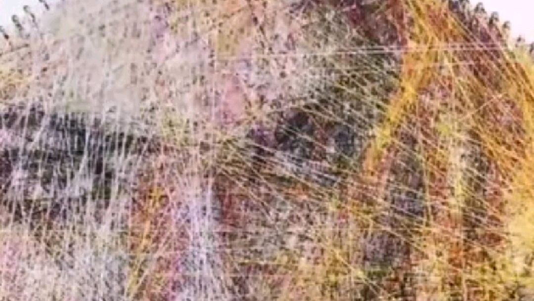 一起，moco看动漫了直播-生活直播-百度直播